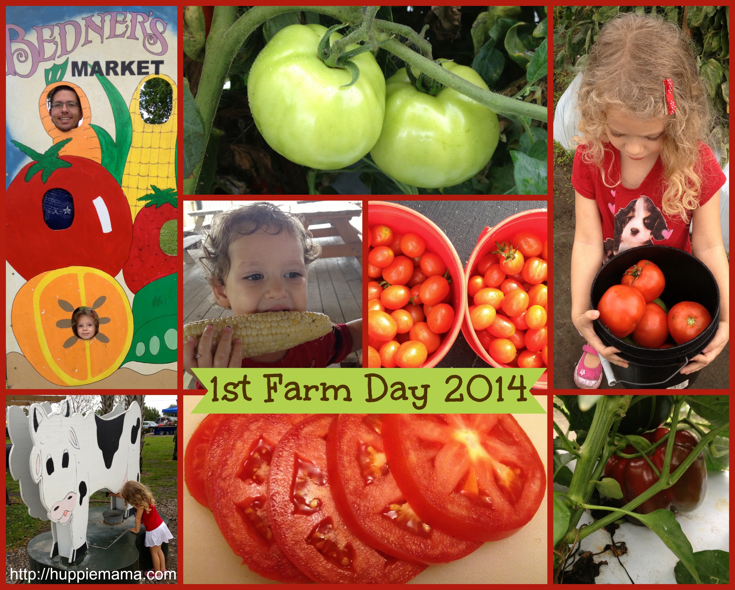 1st Farm Day of the Year - Our Potluck Family