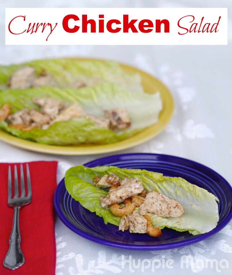 Curry Chicken Salad Recipe - Our Potluck Family